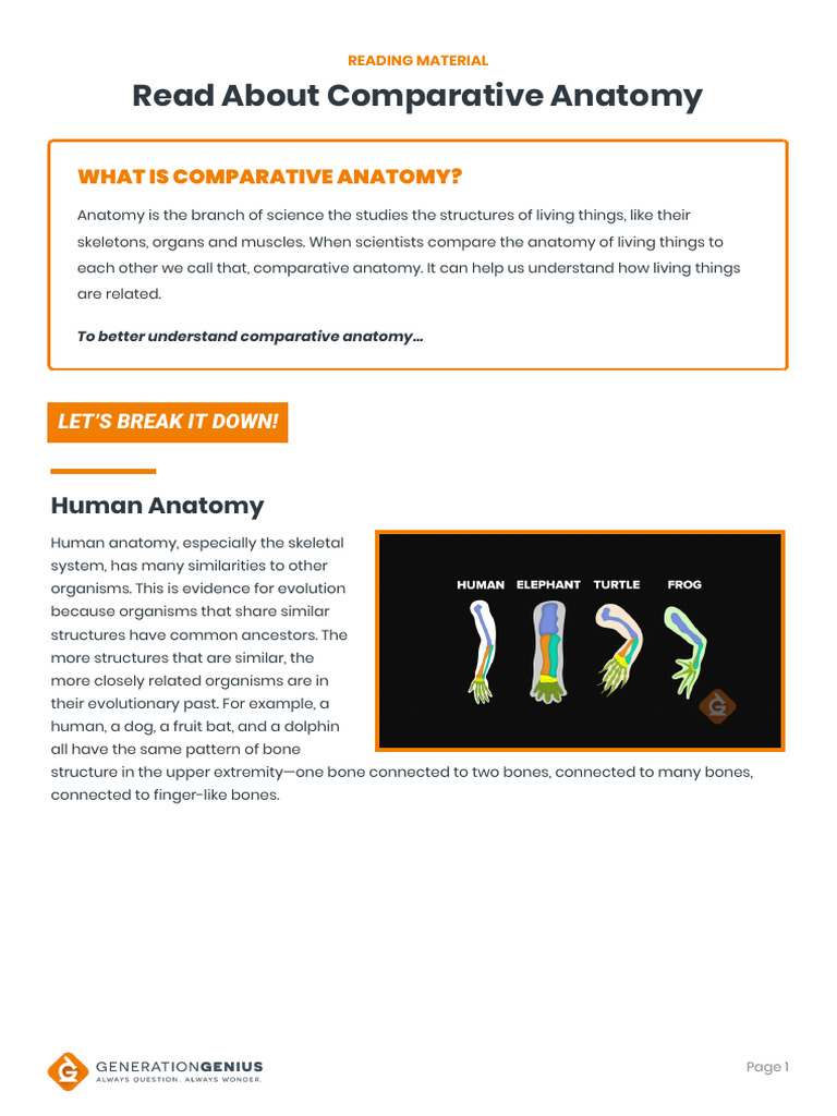 Understanding Comparative Anatomy | PDF | Skeleton | Anatomy