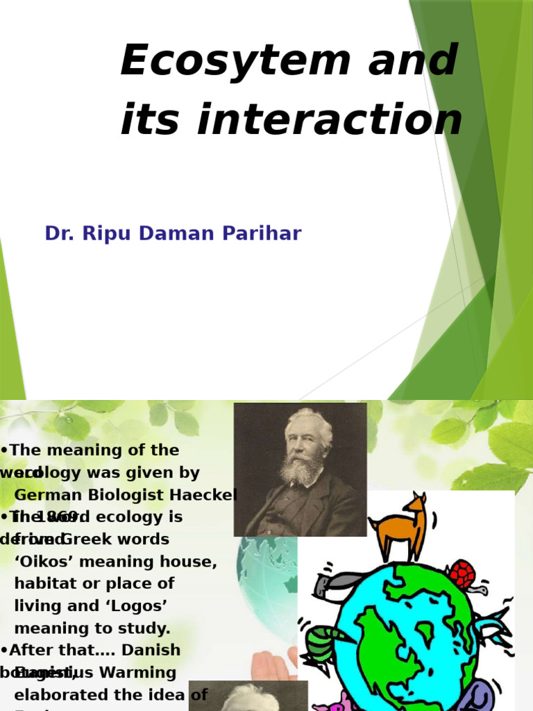 Ecosystem and interaction | PDF | Ecosystem | Grassland