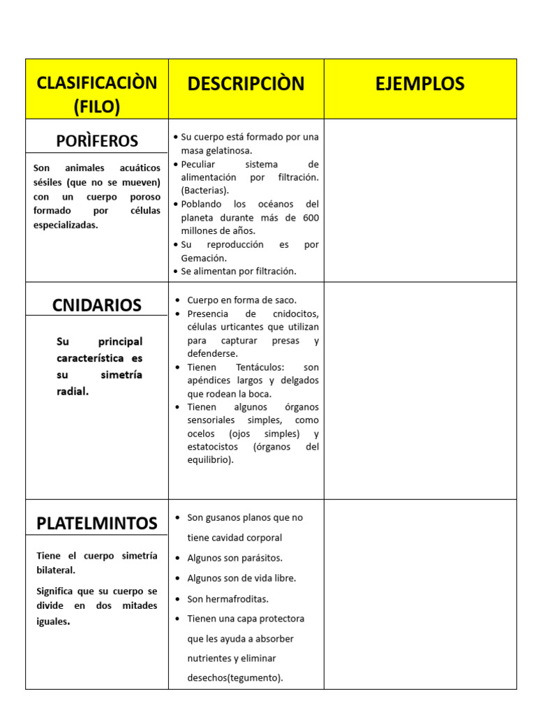 Clasificaciòn de Los Invertebrados. | PDF | Zoología | Biología