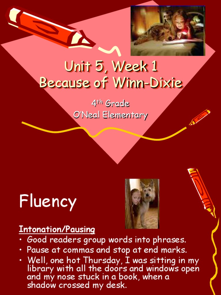 Unit 5, Week 1 Because of Winn-Dixie Summary | PDF | Word | Idiom