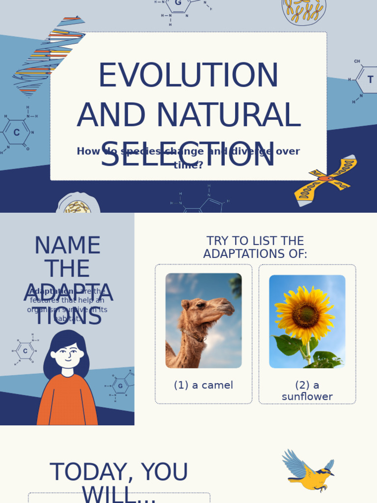Natural Selection | PDF | Natural Selection | Evolution