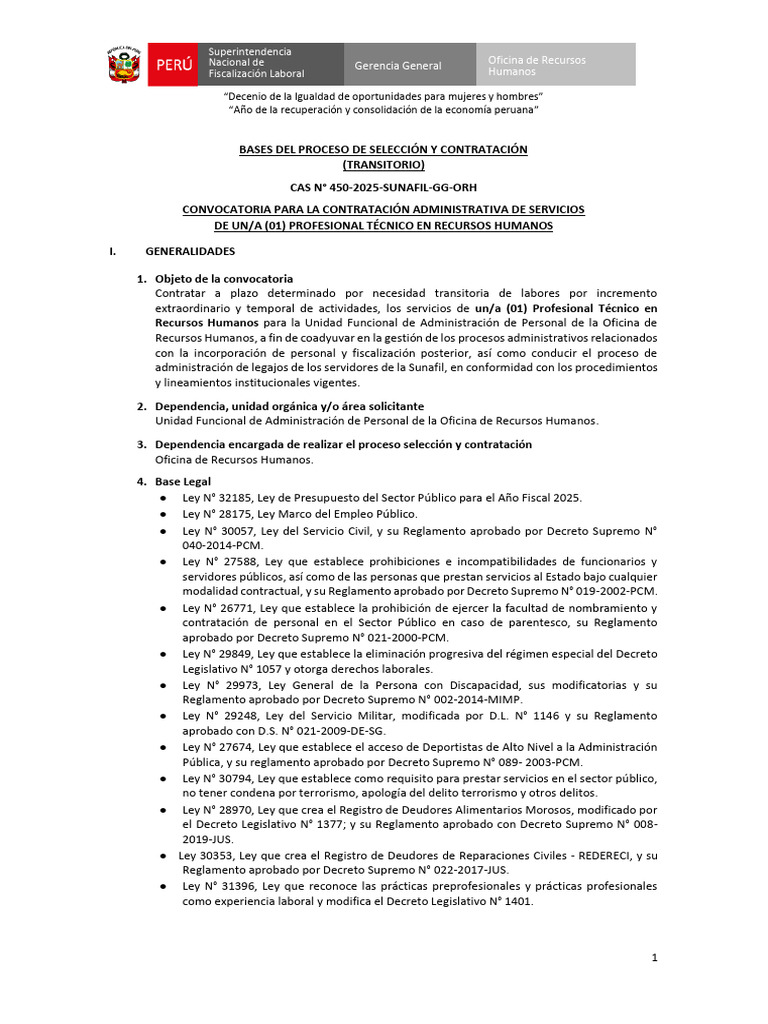 Bases Cas 450 2025 Sunafil | PDF | Gestión de recursos humanos | Internet