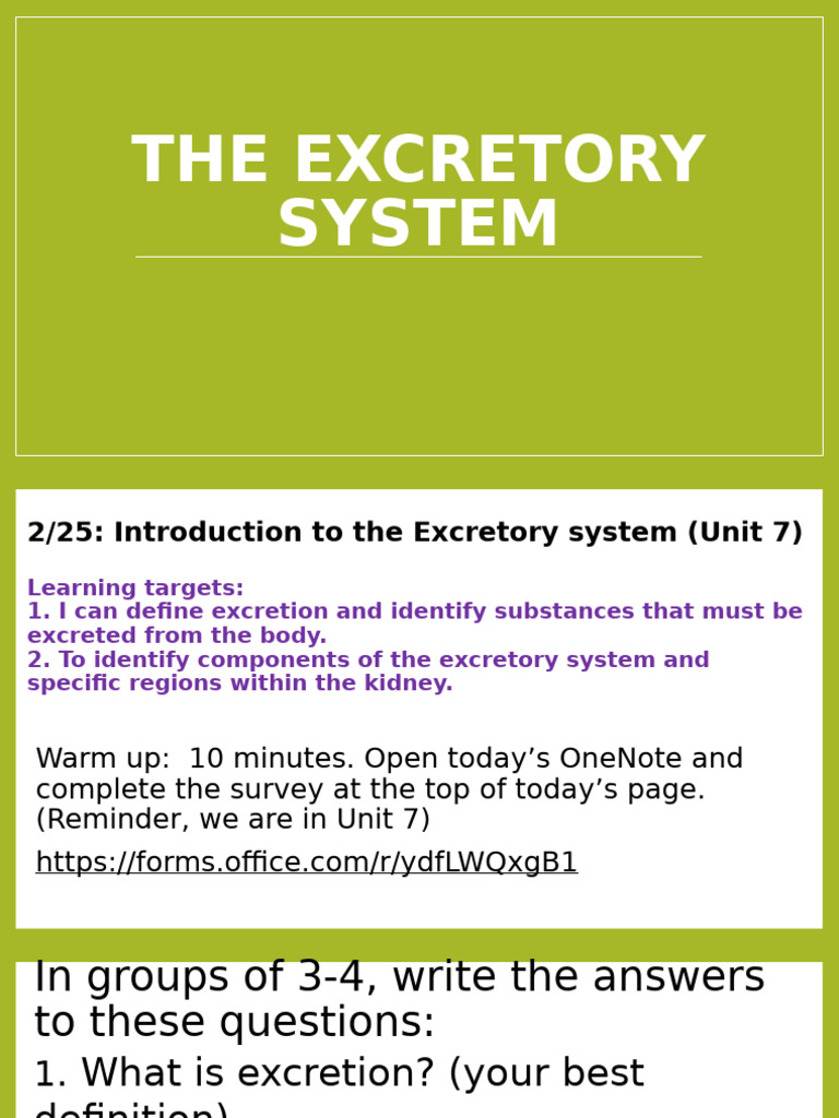Introduction To Excretion - With Answers | PDF | Excretion | Kidney