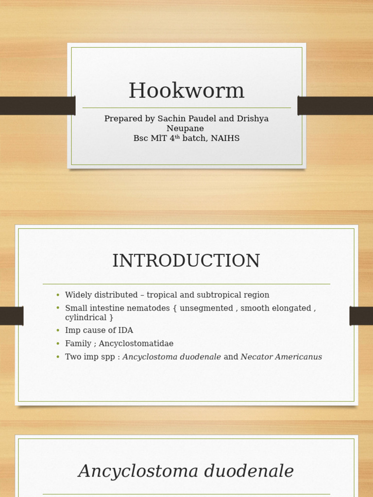 Hookworm | PDF | Lung | Diseases And Disorders
