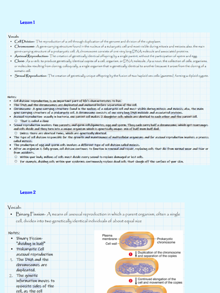 Chapter 8 Biology Honors Notes | PDF