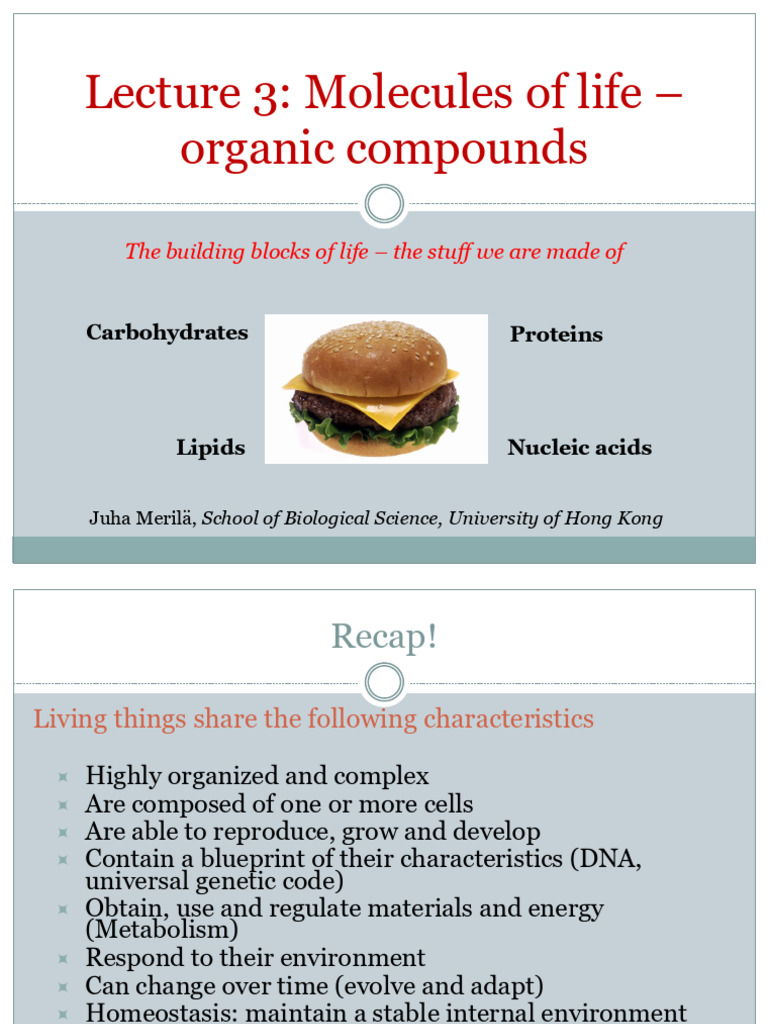 Key Molecules of Life Explained | PDF | Proteins | Polysaccharide