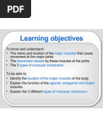 BTEC Sport Level 3 Revision Guide Muscular System | PDF