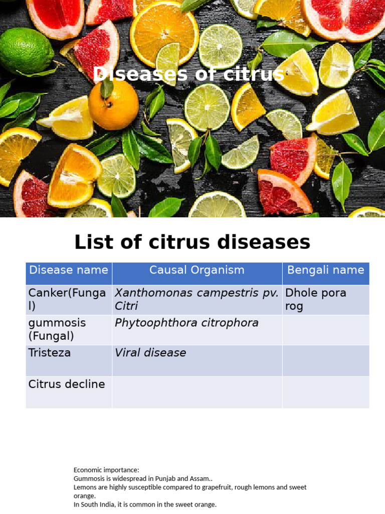 Diseases of Citrus | PDF | Plants | Botany