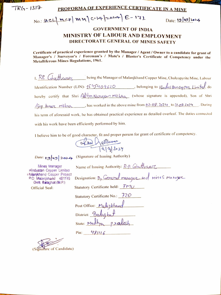 Aditya Narayan Mishra (MU22BTMIN009) | PDF | Mining | Minerals