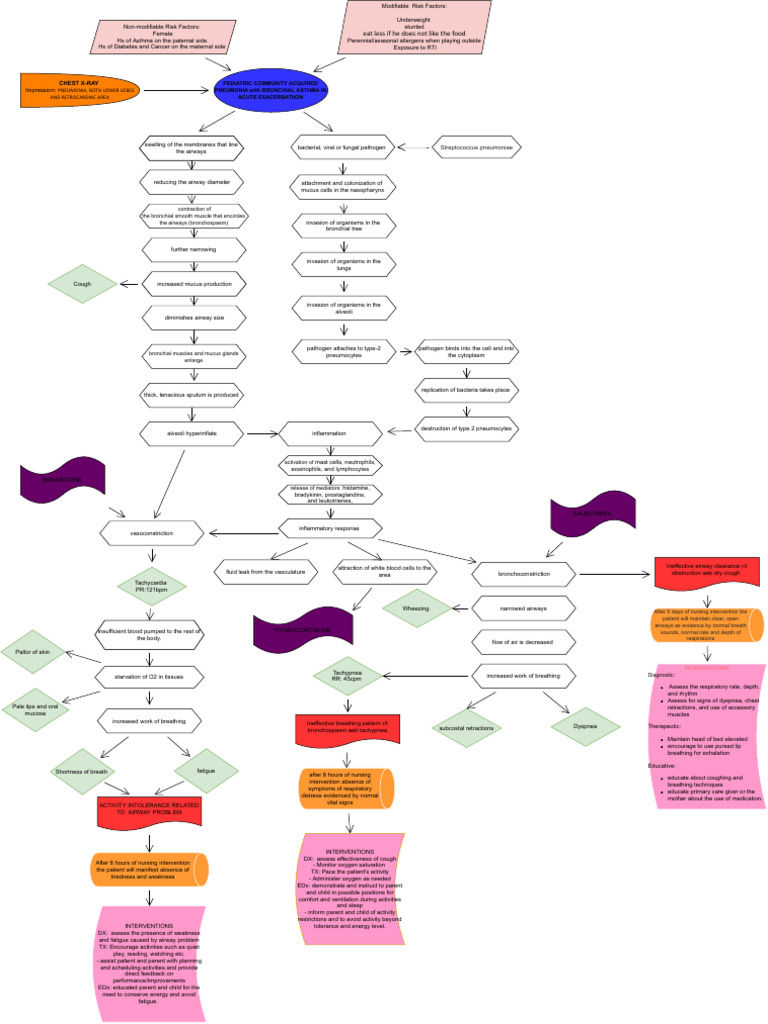 Asthma Concept Map - Drawio 2 | PDF | Respiratory Tract | Asthma