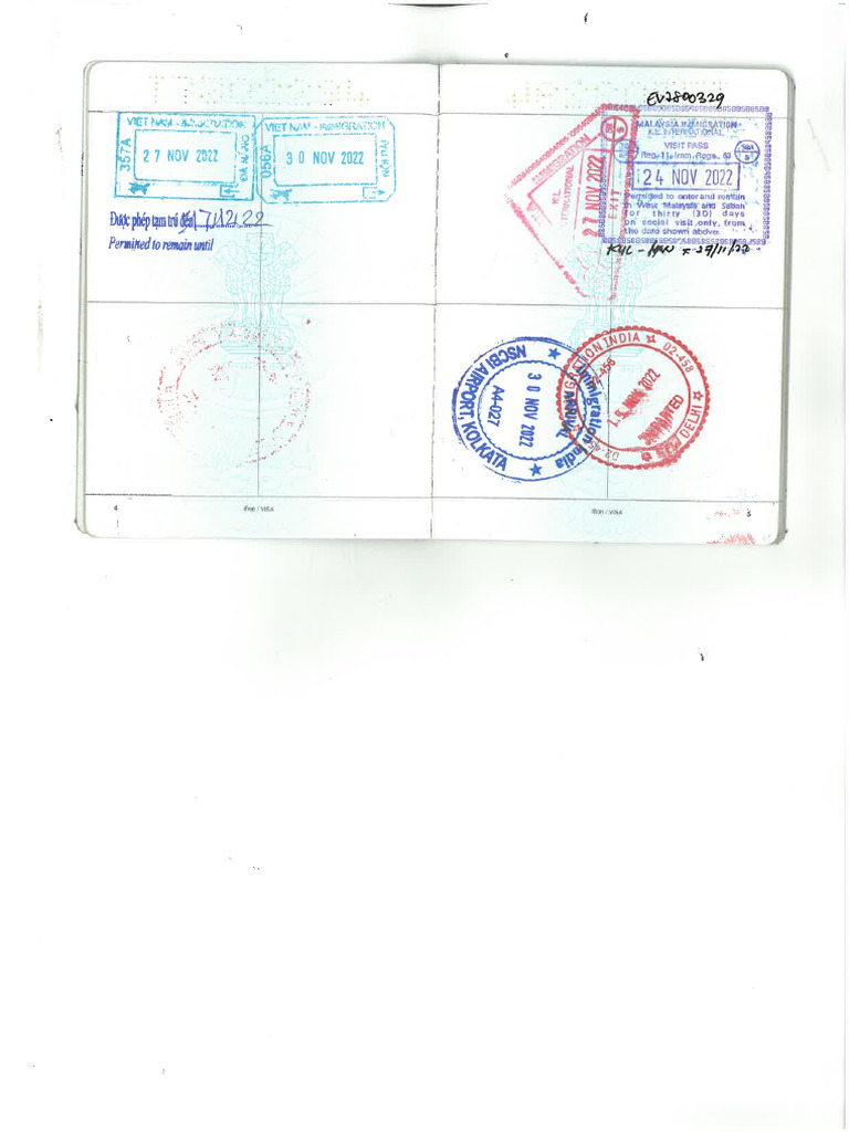 Partap Singh Passport | PDF