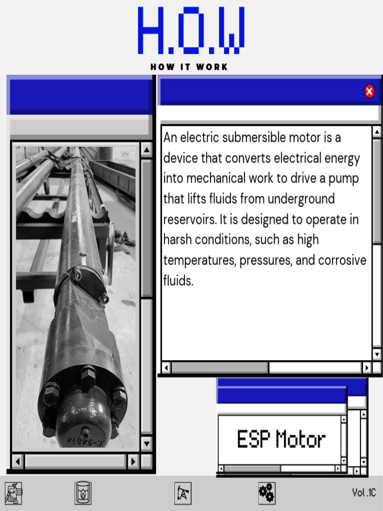 ESP Motor: How It Work How It Work | PDF