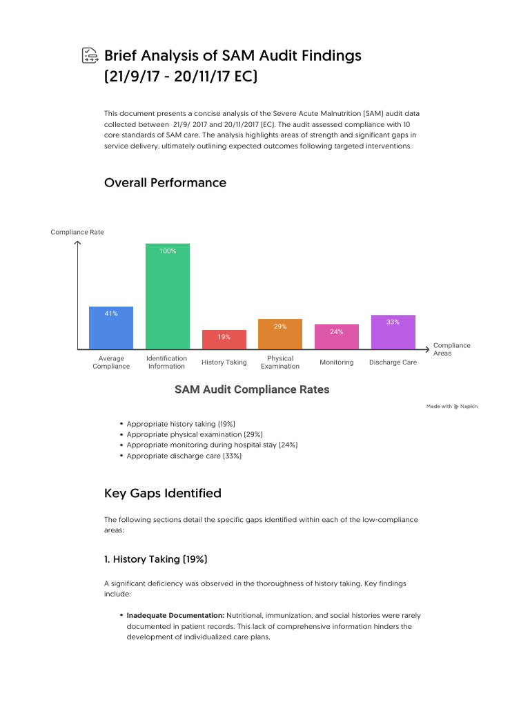 Brief Analysis of SAM Audit Findings (21!9!17!20!11 - 17 EC) | PDF ...