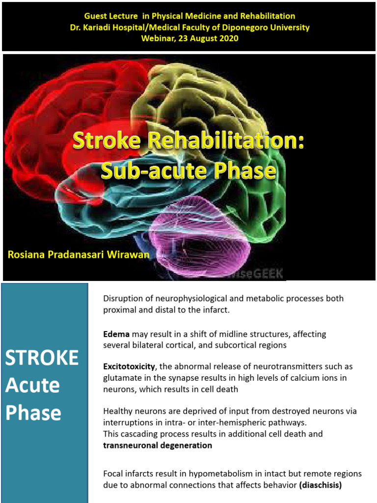 Stroke Rehabilitation Sub-Acute Phase | PDF | Aphasia | Stroke