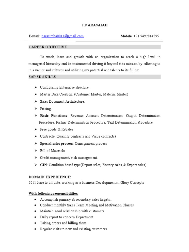 Narasimha Resume | PDF | Economies | Business