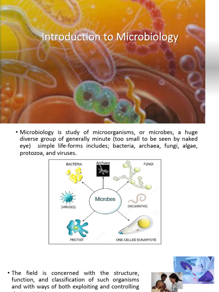Microbiology | PDF | Bacteria | Nucleotides