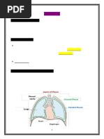 Adult Chest Tube Dressing Change Guide | PDF