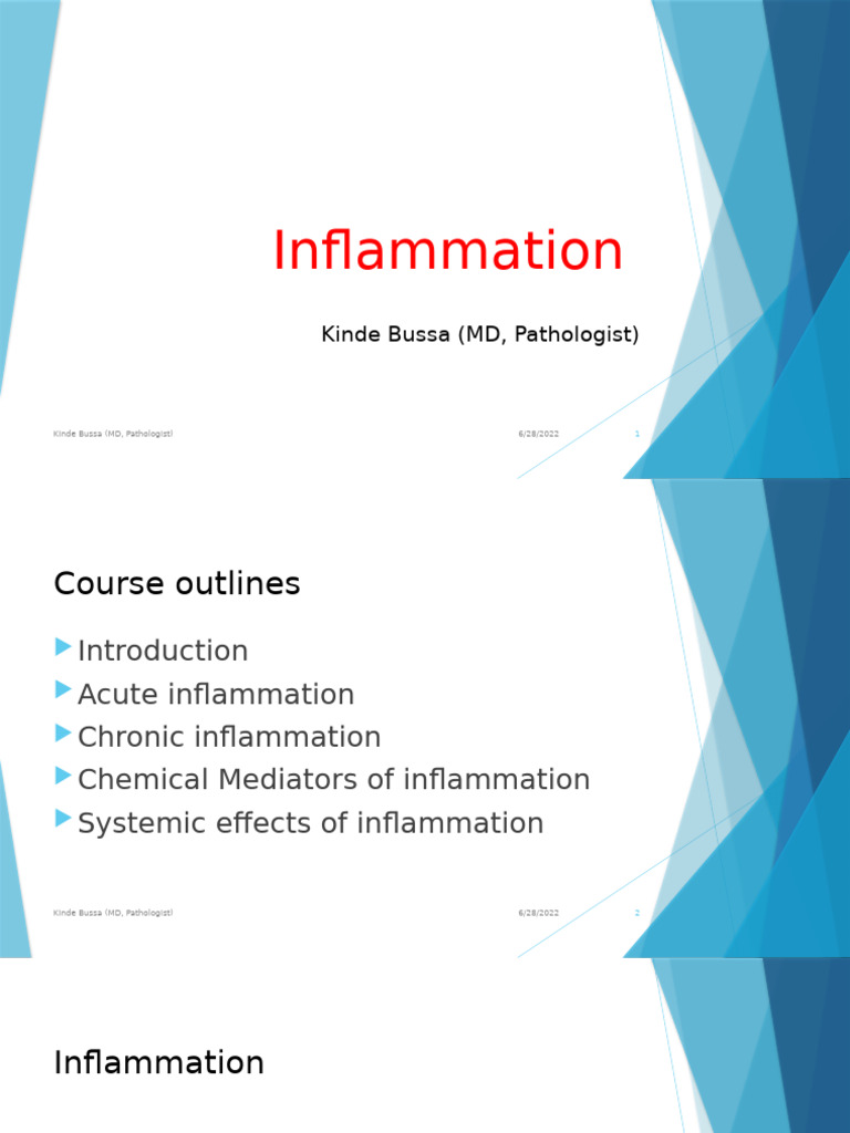 Understanding Inflammation: Types & Mechanisms | PDF | Inflammation ...
