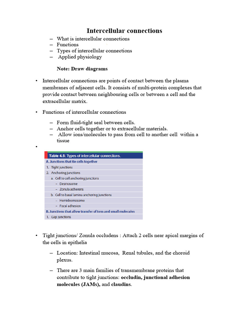 Intercellular Connections Explained | PDF | Cell Adhesion | Cell Biology