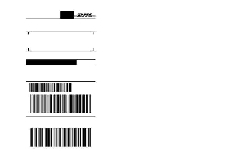 DHL Label 45241 | PDF