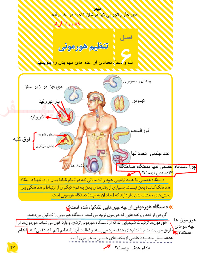 Soalmatn 8 Olum 6 Behfar (Hamyar - In) | PDF