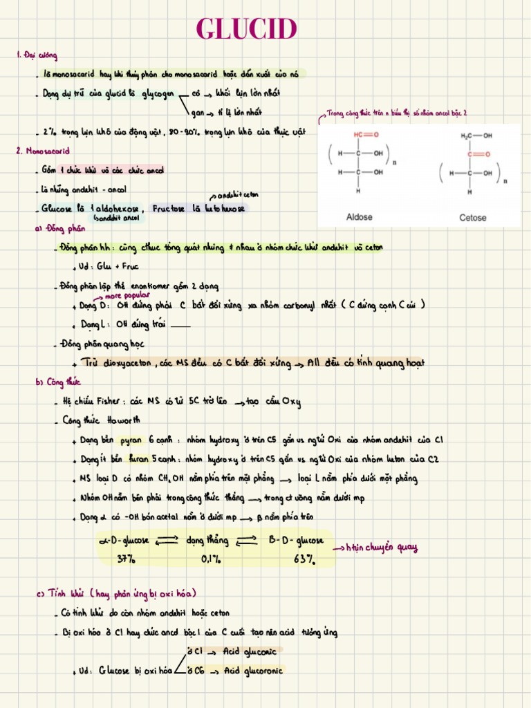 Tổng hợp hóa sinh | PDF