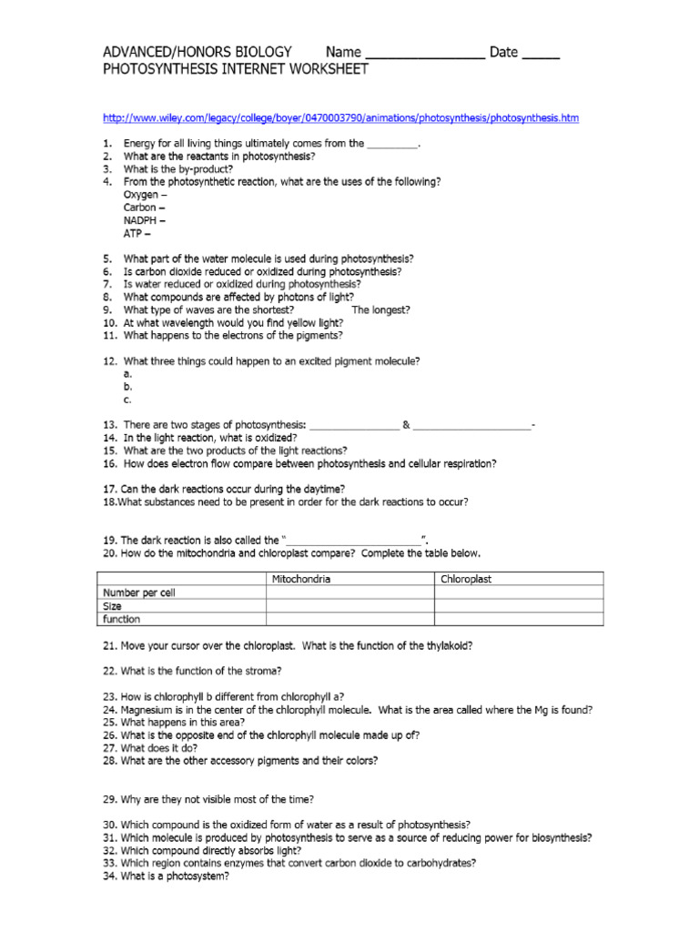 Photosynthesis Worksheet - High School Biology | PDF