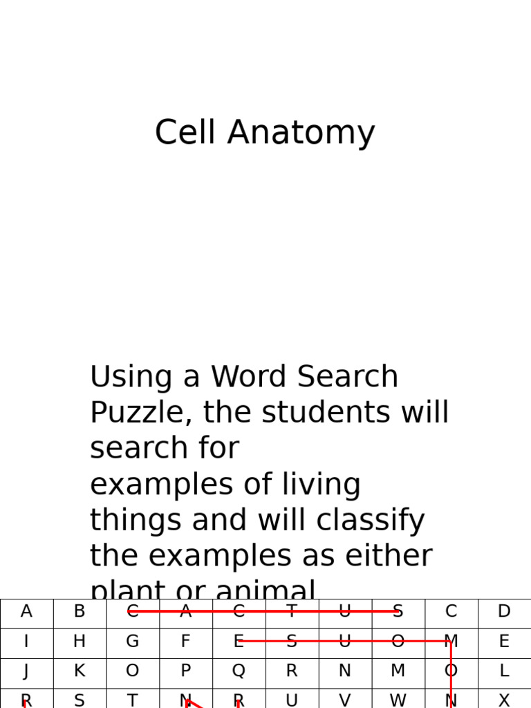 CELL-1 | PDF | Endoplasmic Reticulum | Cell (Biology)