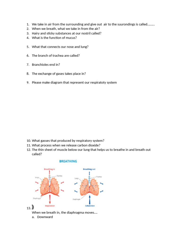 Human Respiratory and Circulatory Systems | PDF