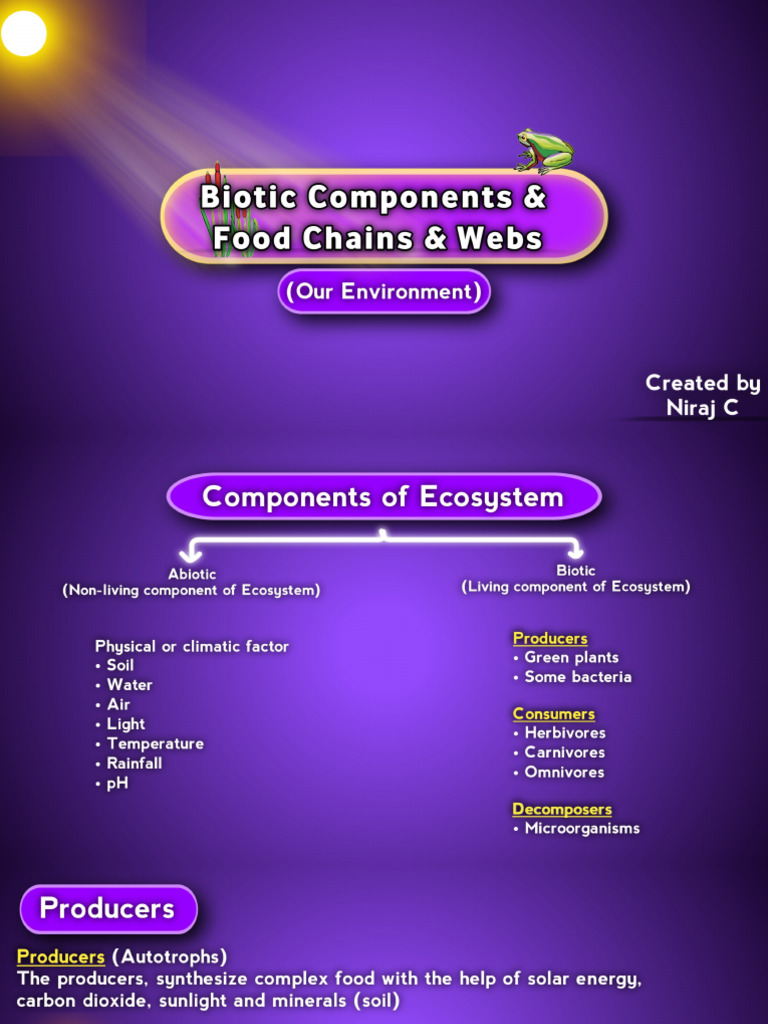 Biotic Components & Food Chains & Webs | PDF
