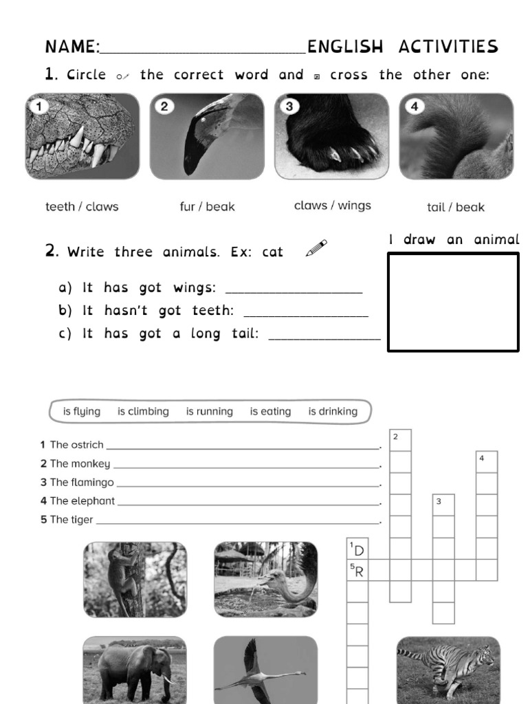 Animals Exercises 1 | PDF