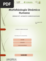 04- Matemática Cuadernillo 2026 | PDF | División (Matemáticas) | Entero
