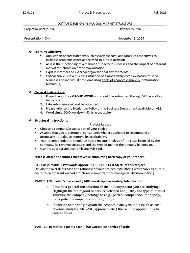 ECN101 - Project Rubrics (1) 4 | PDF | Economics | Monopoly