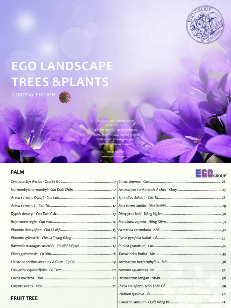 Ego Landscape | PDF