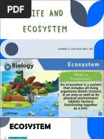 Interactive Guide to Ecological Succession | PDF | Flowers | Earth Sciences