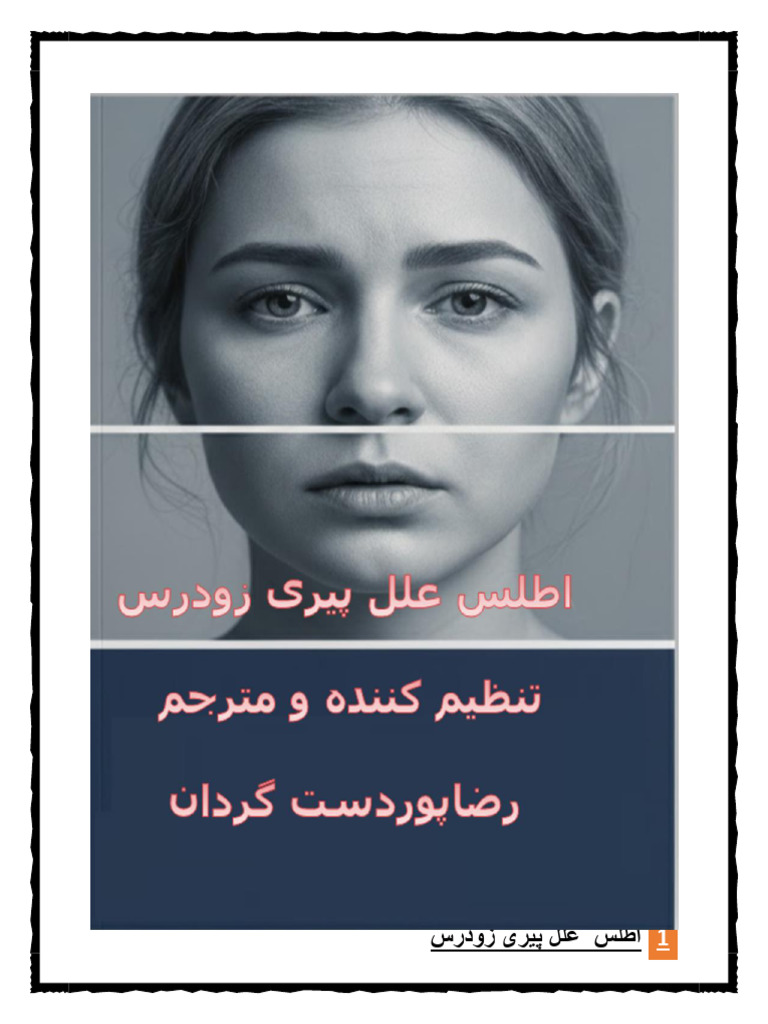 123124 | PDF
