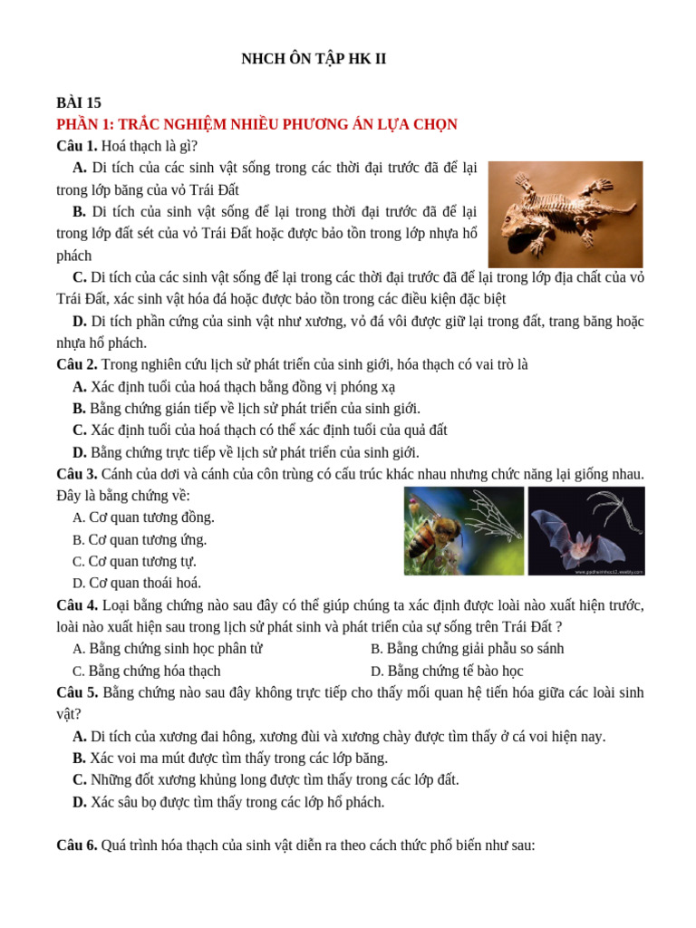 NHCH SINH 12- HKII | PDF