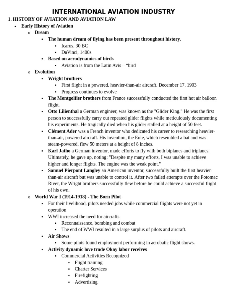 International Aviation Industry | PDF | Aviation | Transport