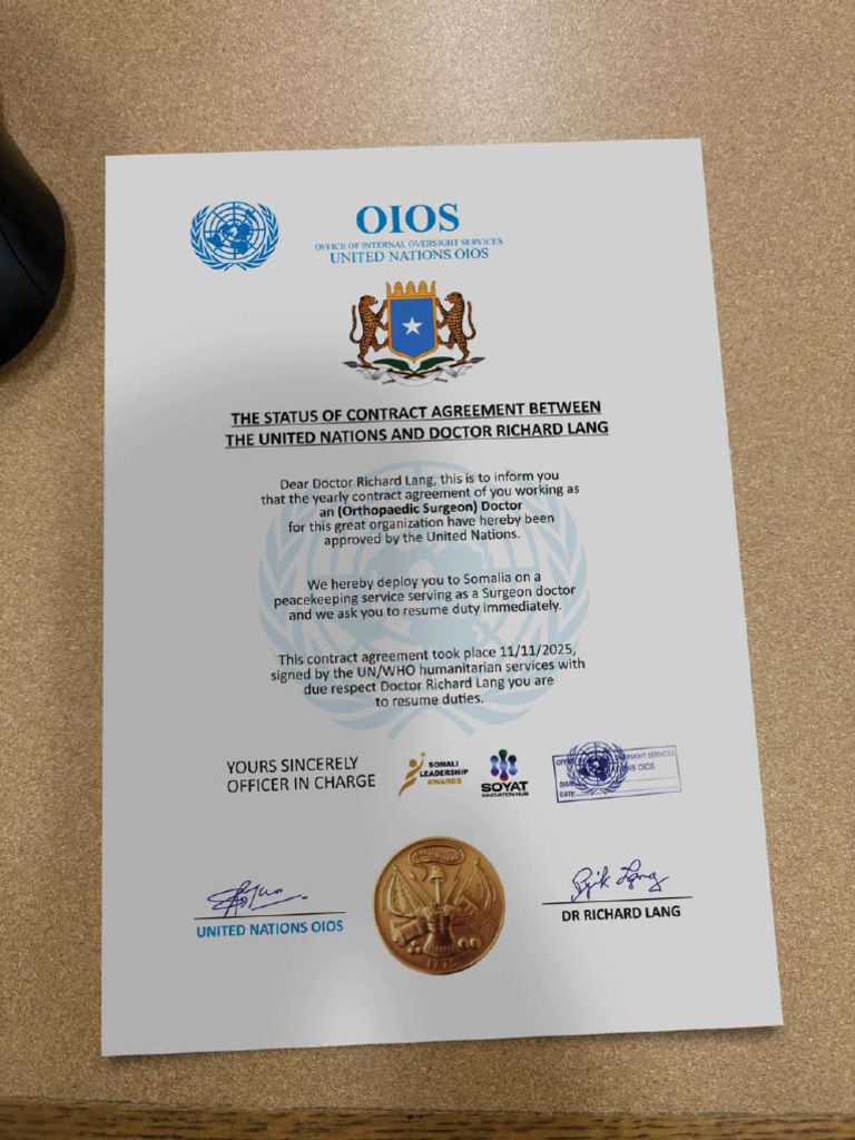 OIOS Contract | PDF