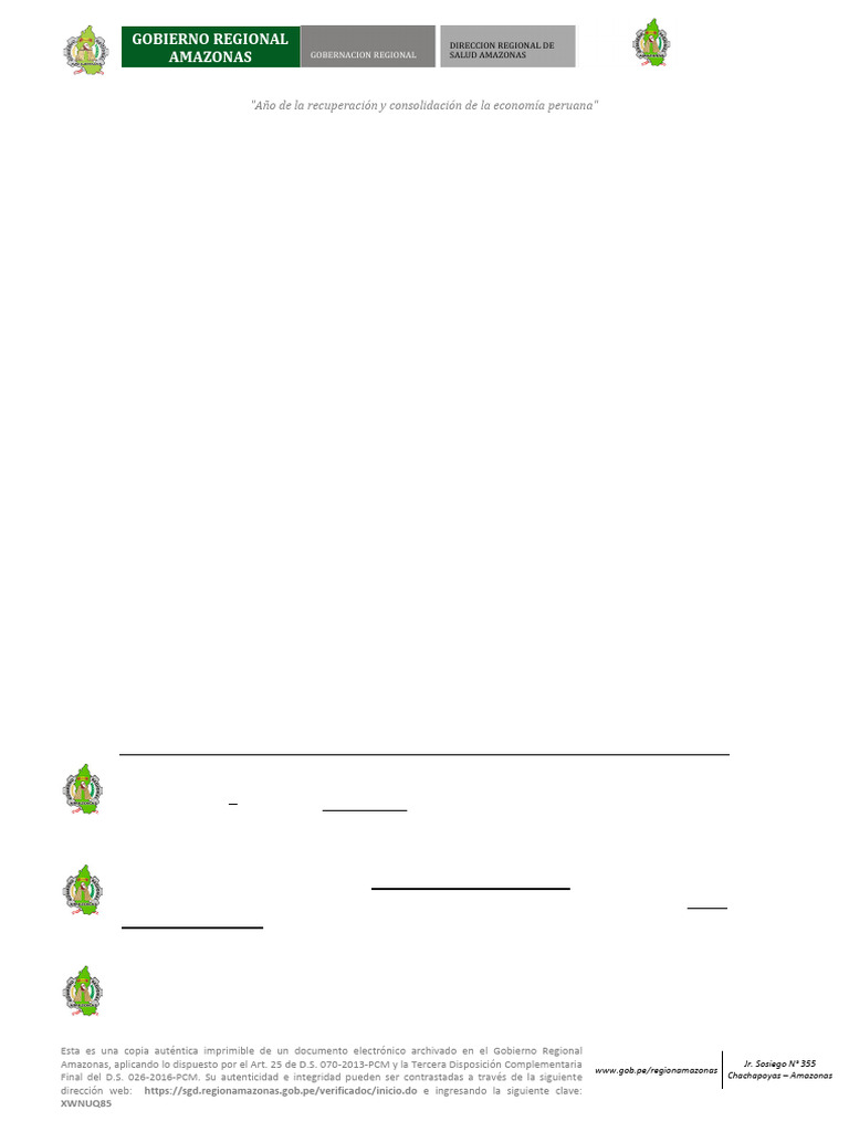 Memorando Circular r19461 2025 Diresa Dg | PDF