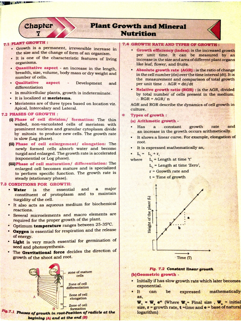 BIOLOGY Plant Growth and Mineral Nutrition..... (1) | PDF