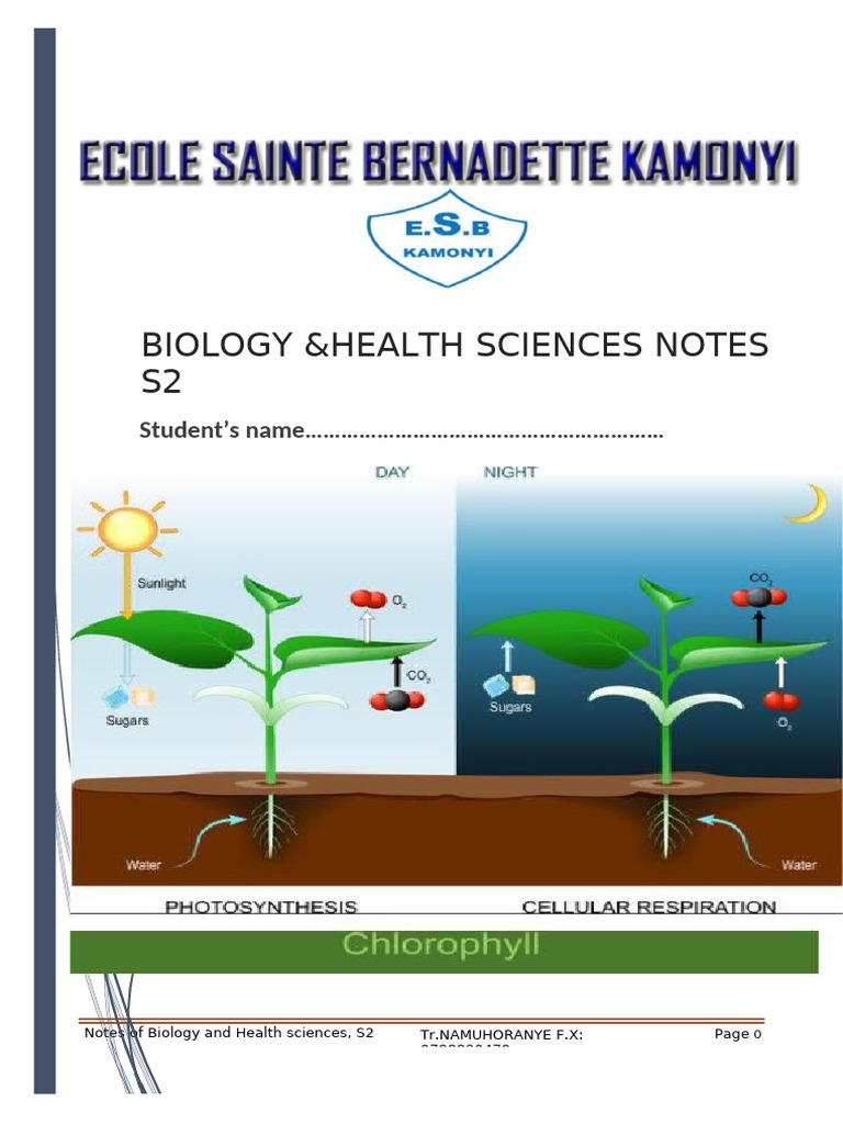 Biology Notes S2 Sihs 2022 | PDF | Ecosystem | Osmosis