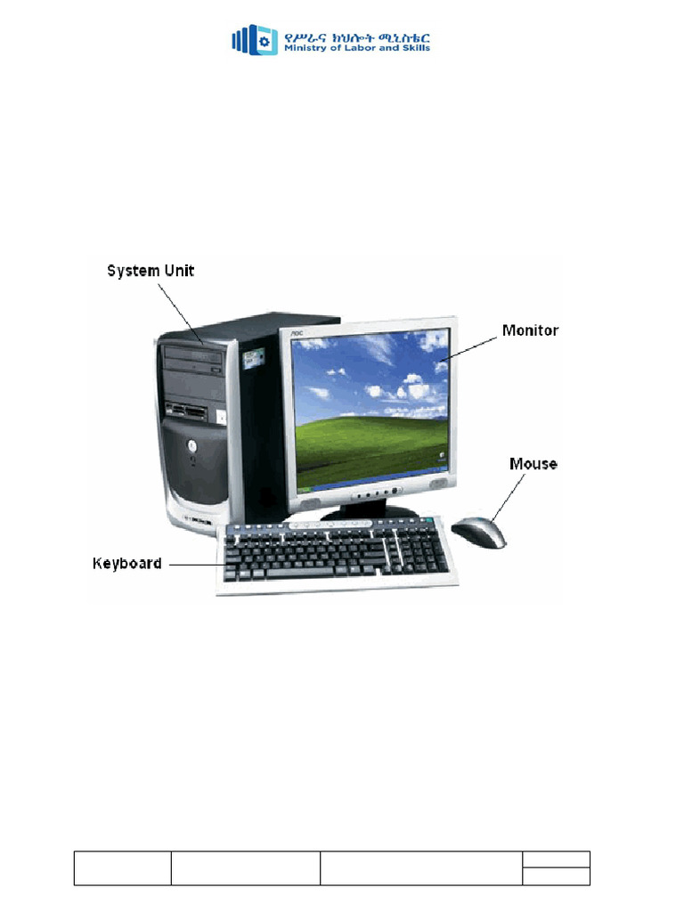 Mo3 - Basic Application Software | PDF | Window (Computing) | Computer File