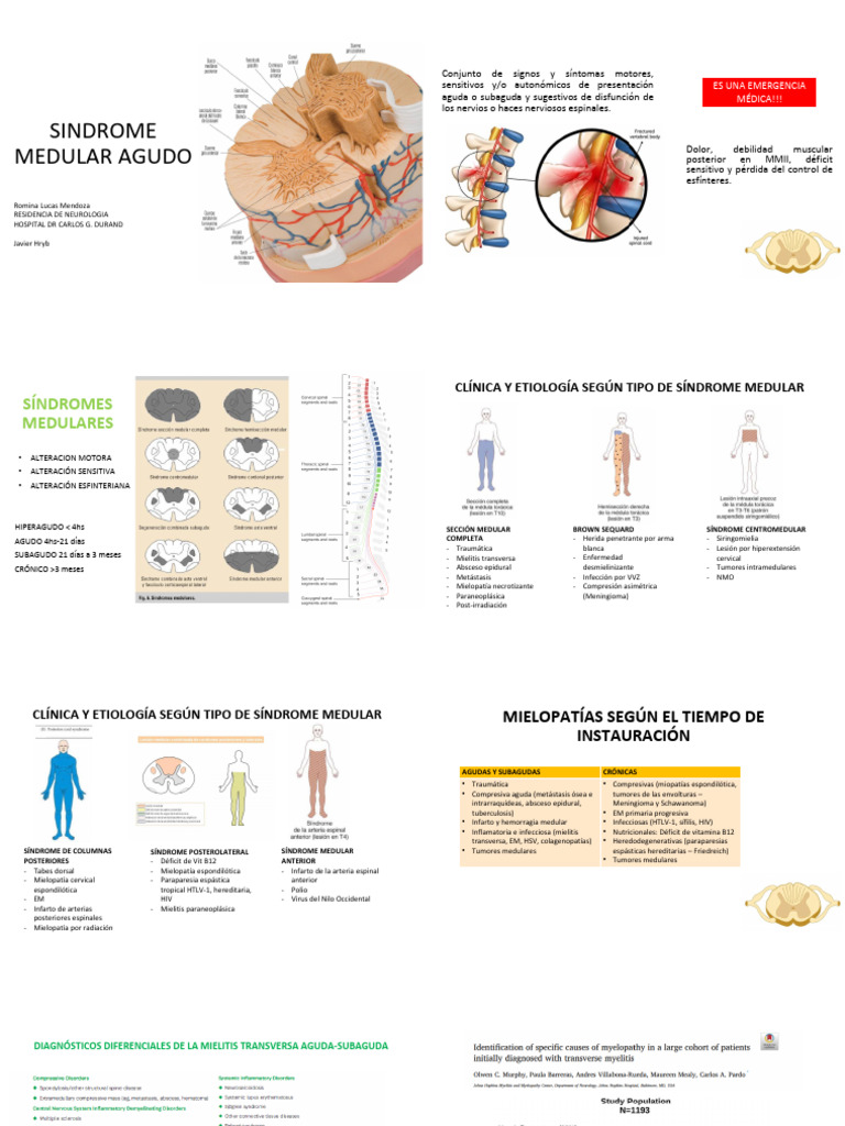 Síndrome Medular Agudo: Diagnóstico y Tratamiento | PDF | Médula ...