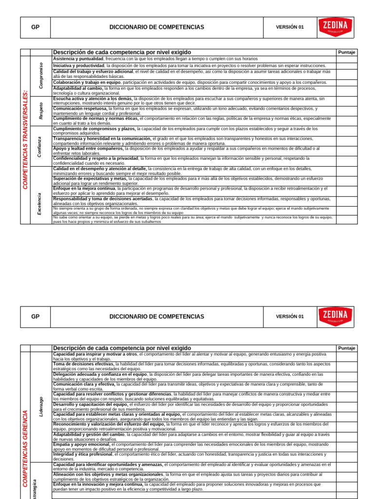 Diccionario de Competencias | PDF | Liderazgo | Toma de decisiones