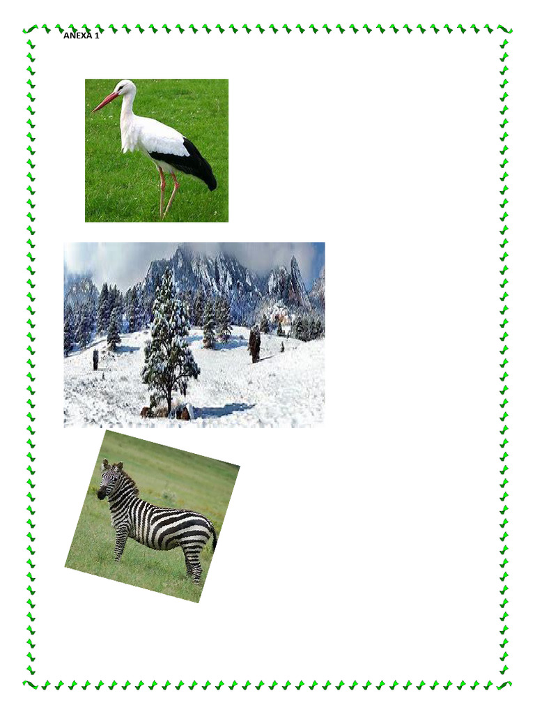 ANEXA 1 CLR-converted | PDF