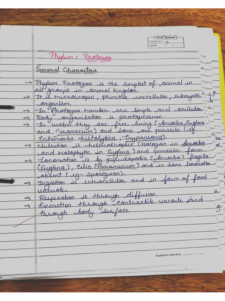 Zoology Practical File | PDF