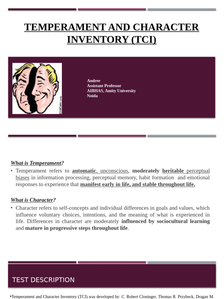 Understanding Temperament and Character TCI | PDF | Psychology ...