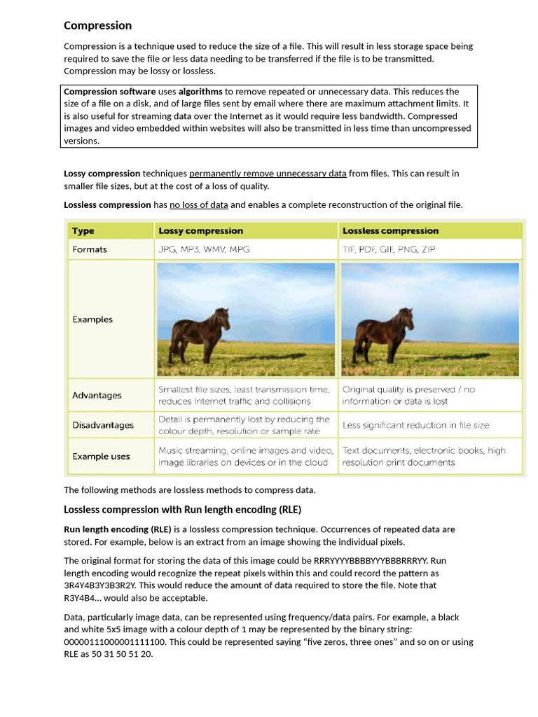 Compression | PDF | Data Compression | Computer Data