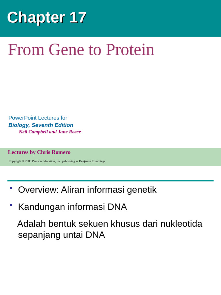 Gene to Protein: Transcription & Translation | PDF | Ribosome ...